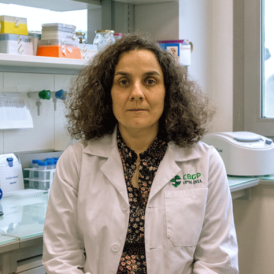 Team – Biocomputation Lab